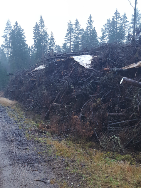 Grot | Det viktigaste energisortimentet från skogen | Nydala